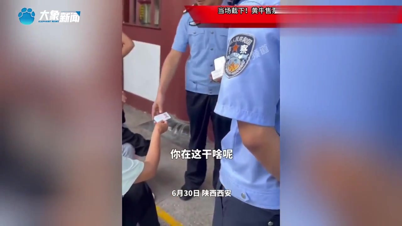 当场截下!黄牛售票口坐前排抢票,民警现场截下一沓身份证