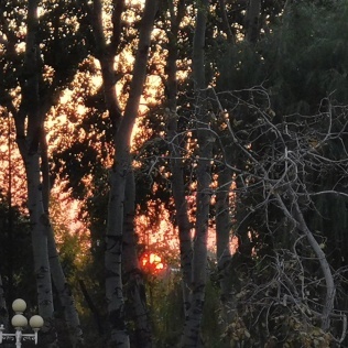 蚂雅l机器人包俱乐部