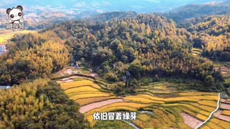 两岸记者启程青田,从“稻鱼共生系统”里发现中国智慧