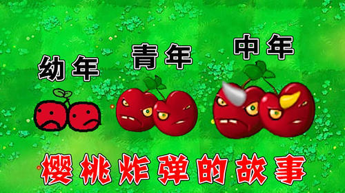 樱桃炸弹的成长史