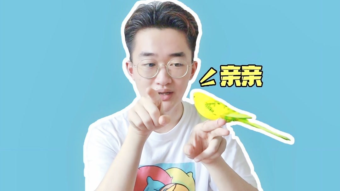 如何让怕人的鹦鹉亲近你?|建立信任训练