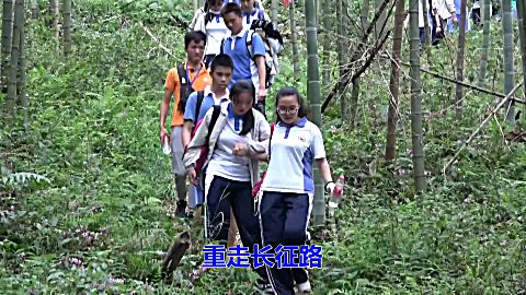 井冈山研学旅行宣传片