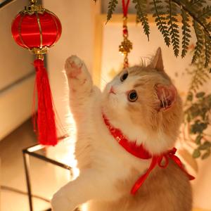 想吃西瓜的第27天 