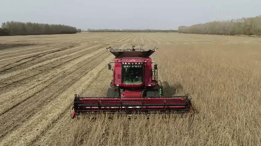 “十四五”新征程|数字化转型助推农业高质量发展