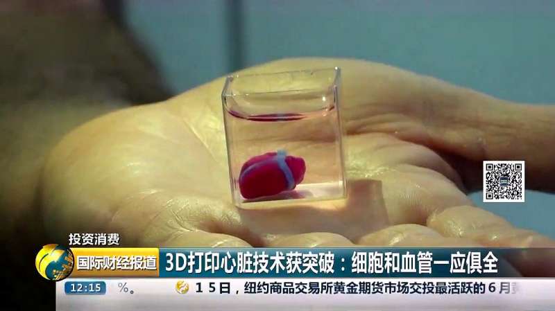 3D打印心脏技术获突破:细胞和血管一应俱全