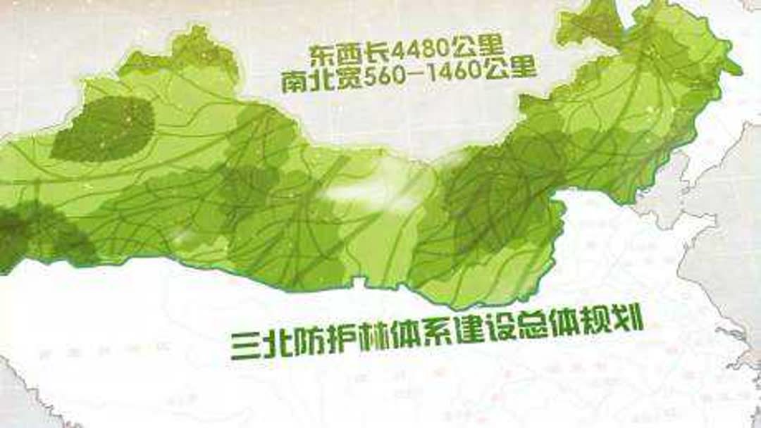 防护林发展现状与“三北”防护林工程的介绍