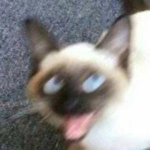 琸珏 