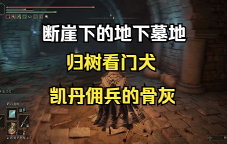 【法环萌新】断崖下的地下墓地:归树看门犬(凯丹佣兵的骨灰)