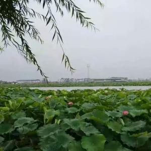 数未来 