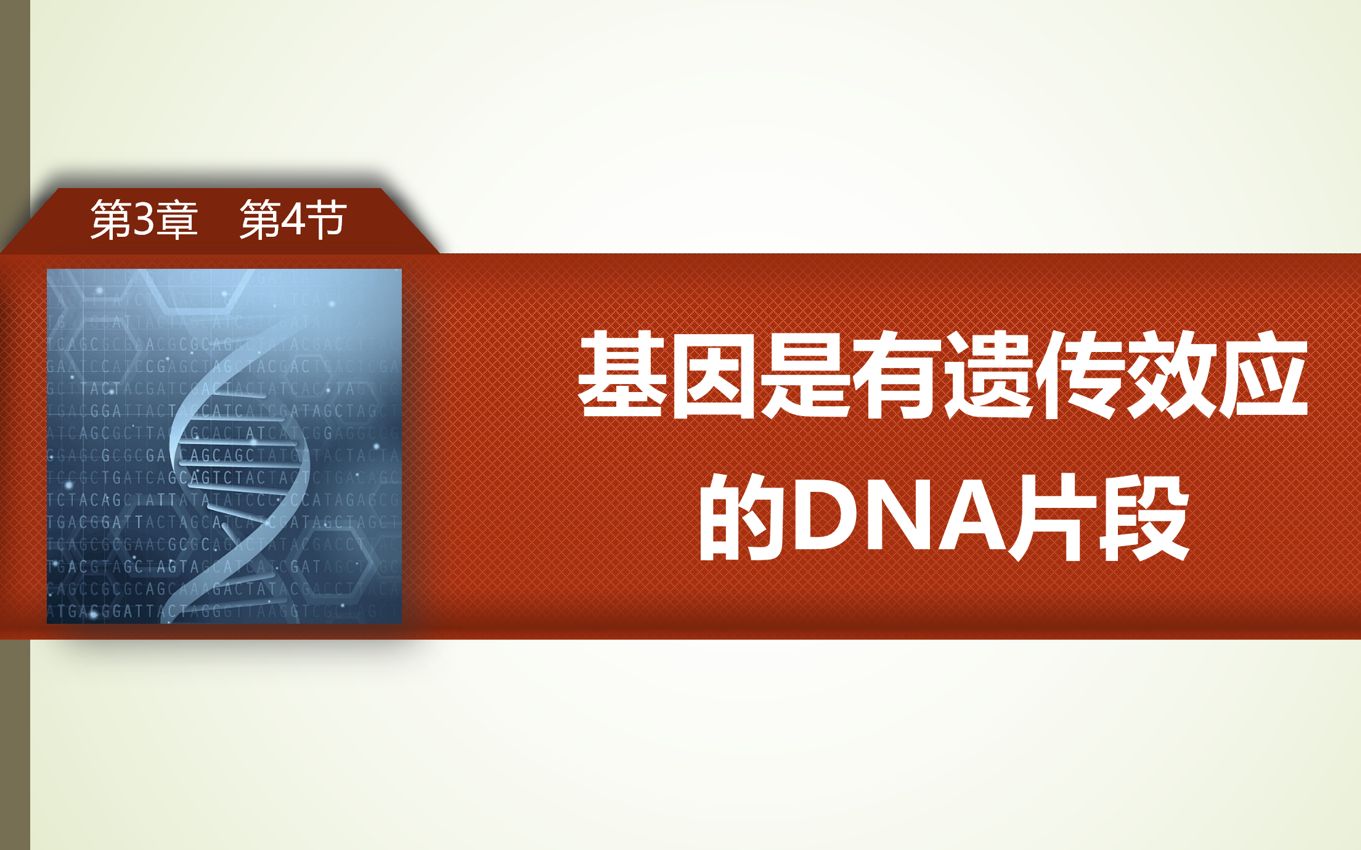 3.4基因是有遗传效应的DNA片段