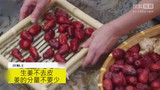 生姜配上这两宝煮水喝,去除体内湿毒,还清血管抗衰老