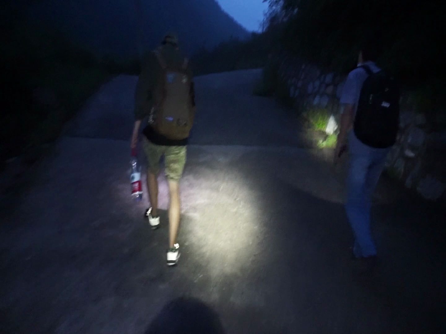 深山夜探两栖爬行动物,发现了一种有故事的两栖类