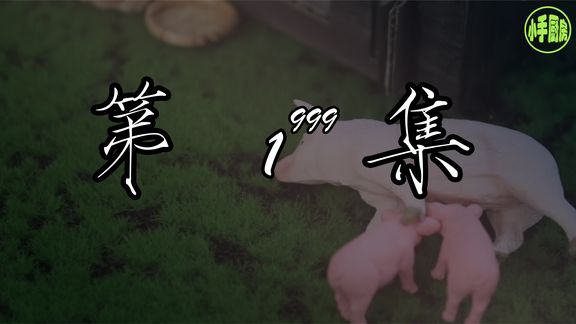 第一集:使用废弃快递纸盒DIY迷你小农庄