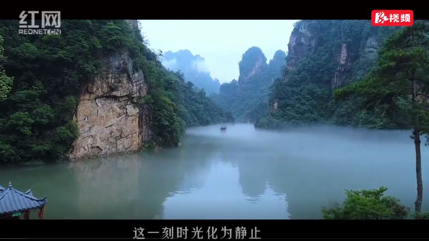 抗疫故事|金鑫:以己之力,为张家界筹集物资鼓与呼
