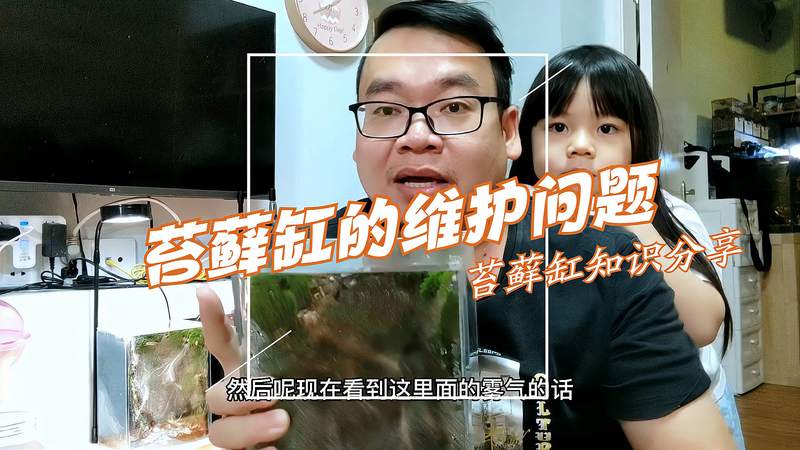 说说苔藓微景观养护上的那点事,听完你也觉得养苔藓很简单!