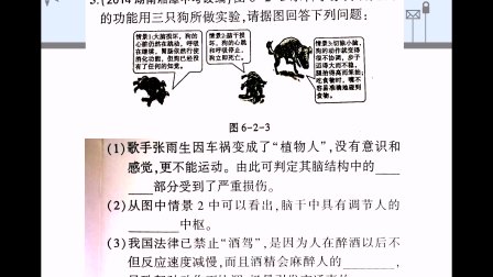 12-七(下)-《试卷16》神经系统结构