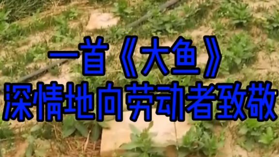美好的生活,总有人在为我们默默地付出,向劳动者致敬!