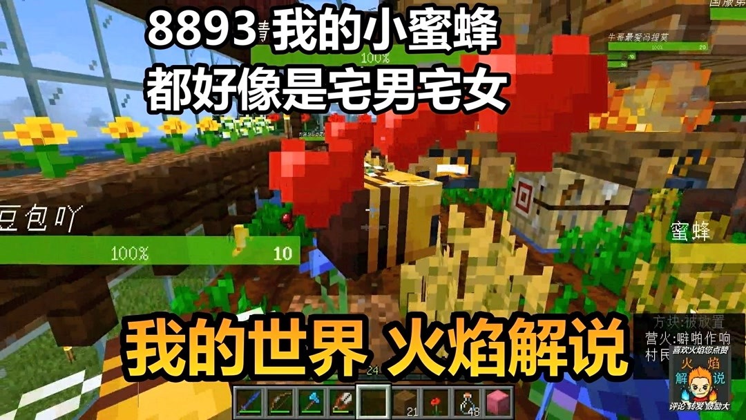我的世界 火焰解说 8893 我的小蜜蜂 都好像是宅男宅女