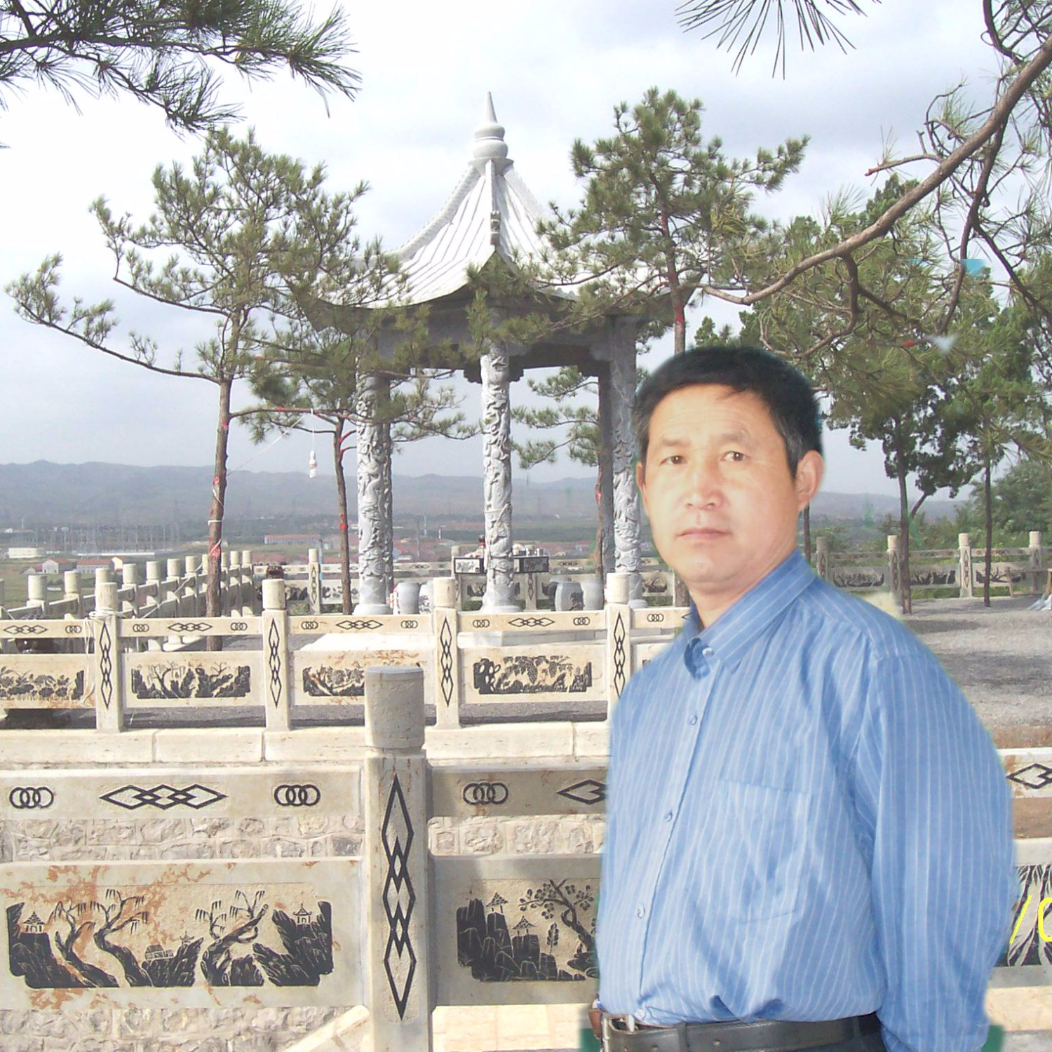 石上松 