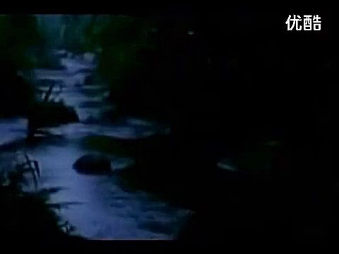 一九七九中越战争自卫反击战实录资料整编制作_标清_标清