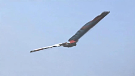 工程师打造了一双翅膀,背在身上还成功飞上了天