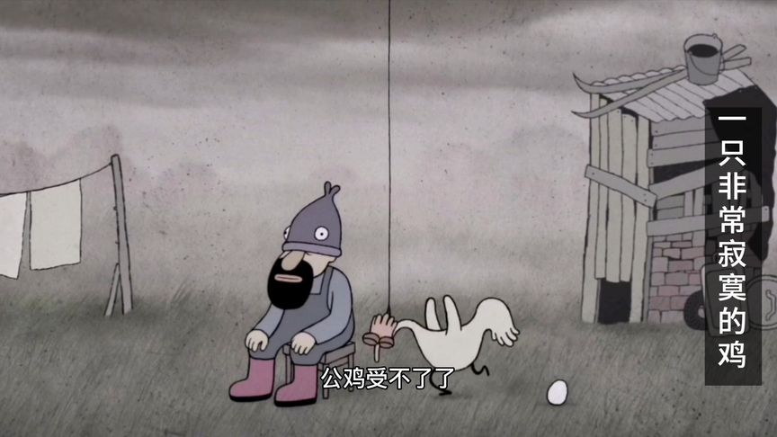 为了做只争气鸡,公鸡也学会了下蛋,短片《一只非常寂寞的鸡》