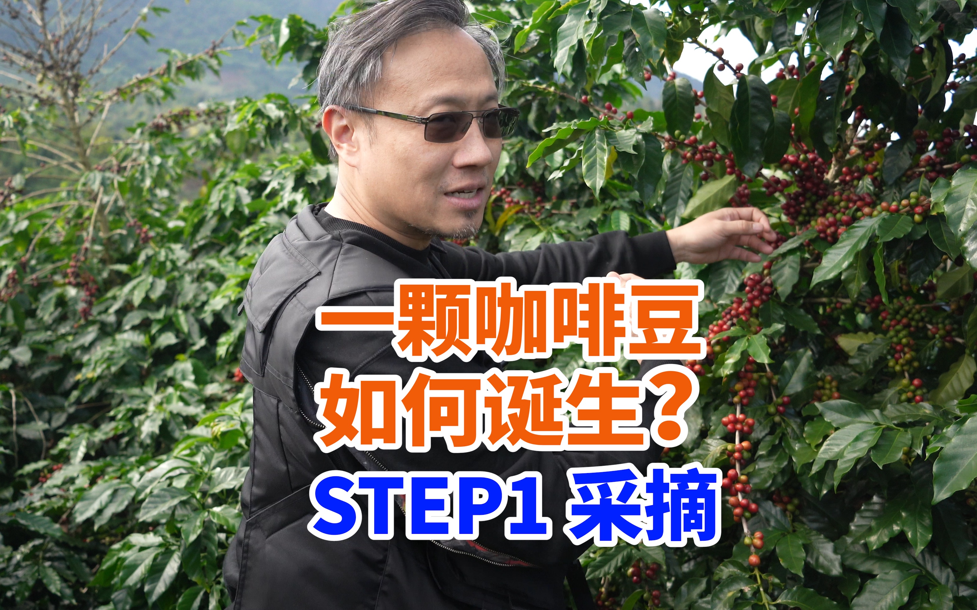 咖啡誕生記Step1