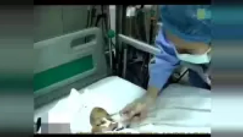 3岁女孩把屎拉在裤子上, 被亲生母亲打进ICU, 得知实情父亲彻底崩溃