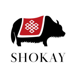WORLDofSHOKAY 
