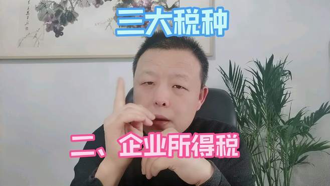 开公司一定要了解的三大税种,二、企业所得税。