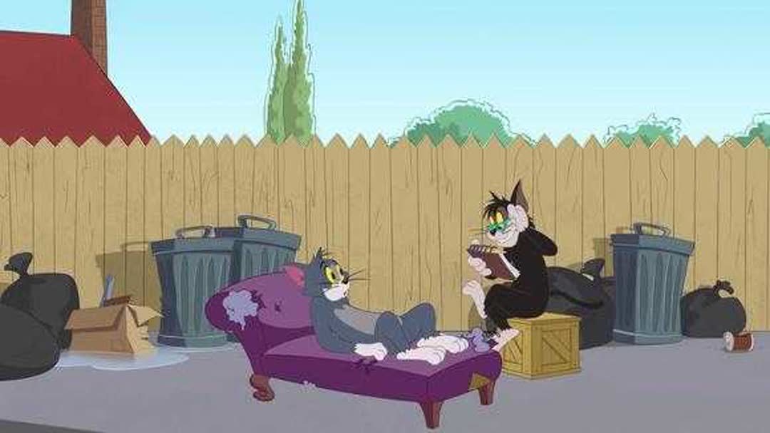 搞笑动漫猫和老鼠:汤姆和杰瑞的斗争从未停过,汤姆一直处于下风