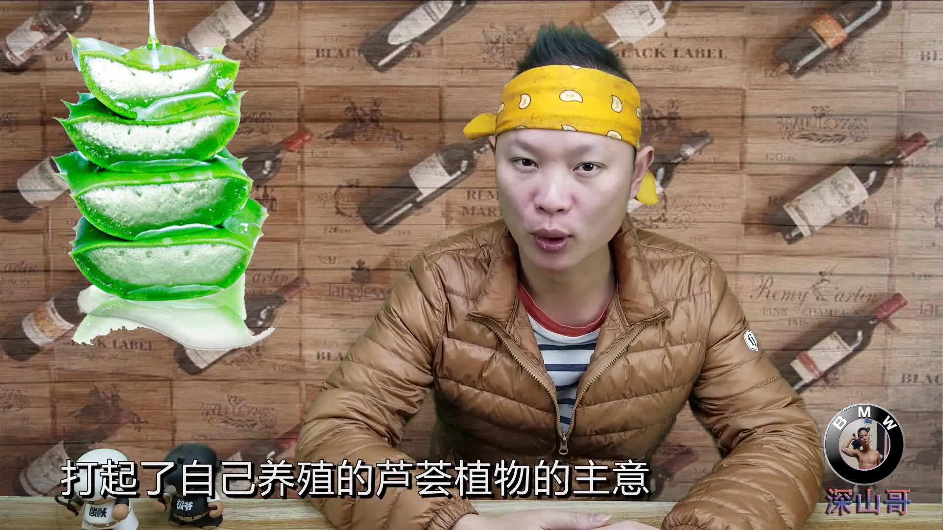 新鲜芦荟不能直接擦脸?视频给你明确答案