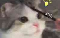 转笔教程,反正简单就完事了