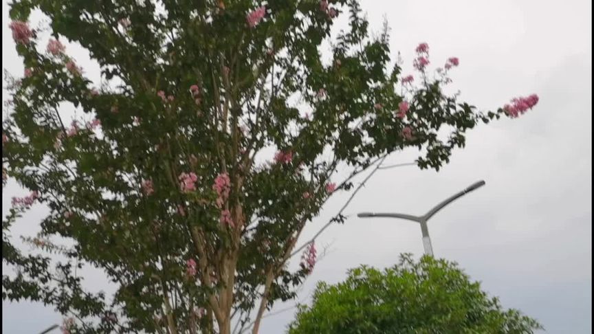 纵然相遇变成记忆,也要将之压成书签,每次翻动那本心爱的书