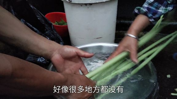 农民洗菜暴露“菜单” 先别说能否接受 能认出全部菜的没几个