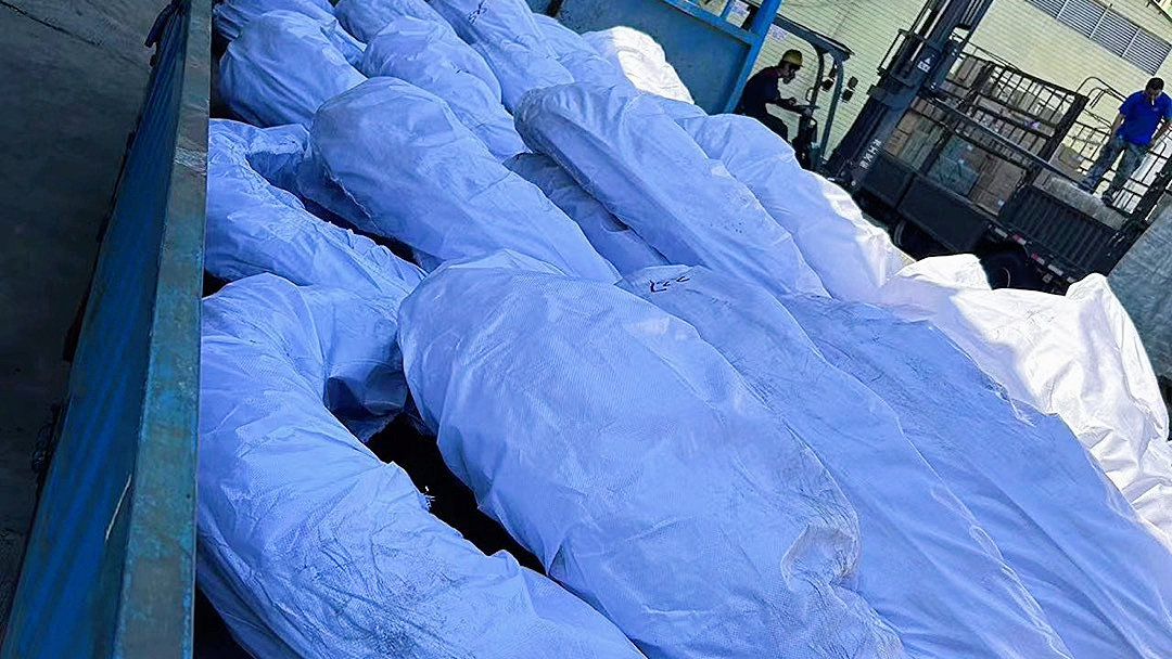 东莞市新德亚金属科技有限公司主营宝钢低碳钢盘条、钢帘线盘条、...