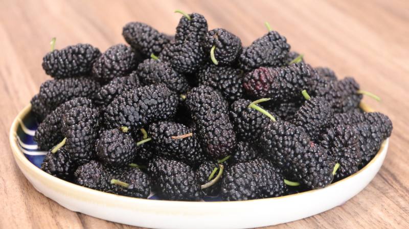 桑葚别再直接吃,加1把枸杞教你这样做,很适合女士食用