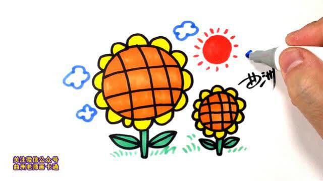 曲洲老师画卡通:少儿简笔画系列-向日葵,你为什么总围着太阳转