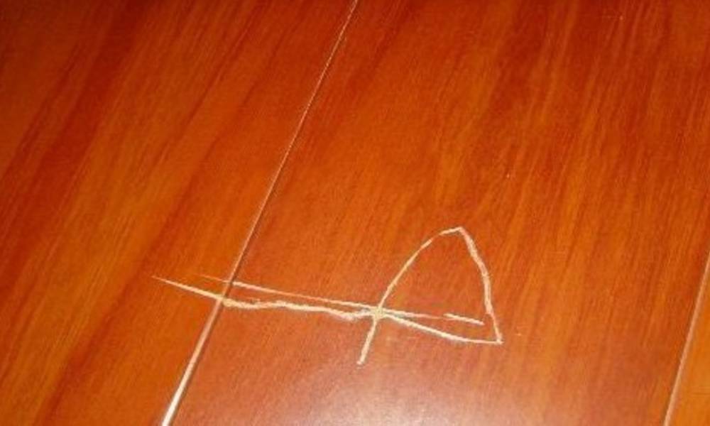 木地板划伤了?1个核桃就能轻松修好,简单又省钱