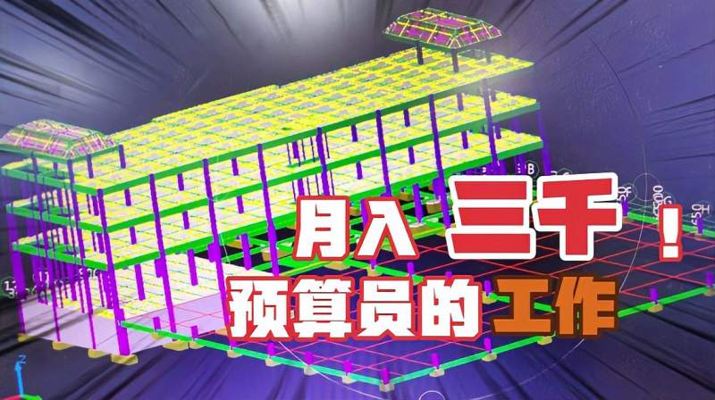 在广西南宁月薪三千,职业预算员日常工作,CAD看图建模算量计价