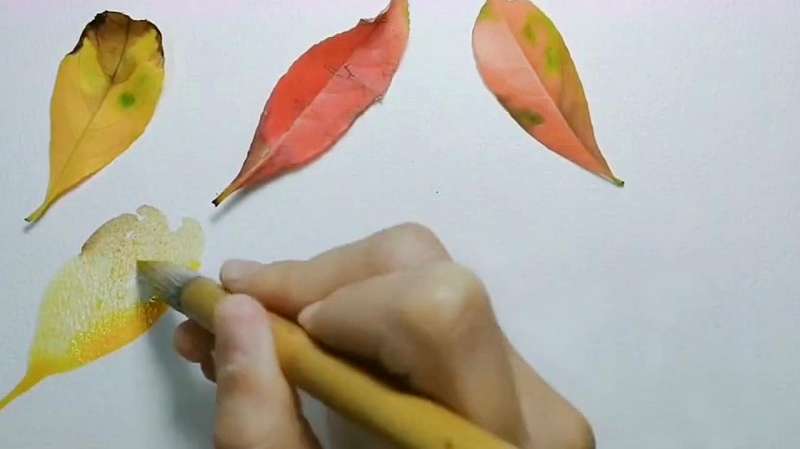 用水粉画几种形态的树叶子,不得不说,有点好看!