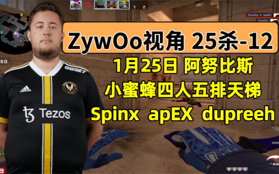 CSGO【ZywOo视角】25杀-12小蜜蜂四人组排天梯阿努比斯@1月25日