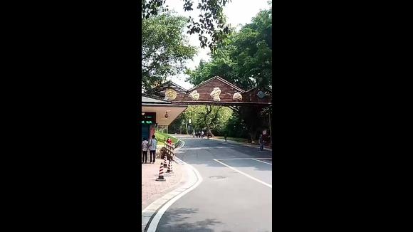 憋在家那么久了,大家都出来活动一下根骨,上山人也不少啊!