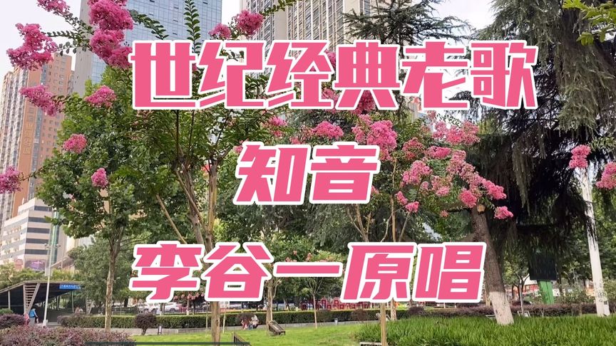 世纪经典歌曲,李谷一原唱.60年代电影插曲曲,知音。太好听了