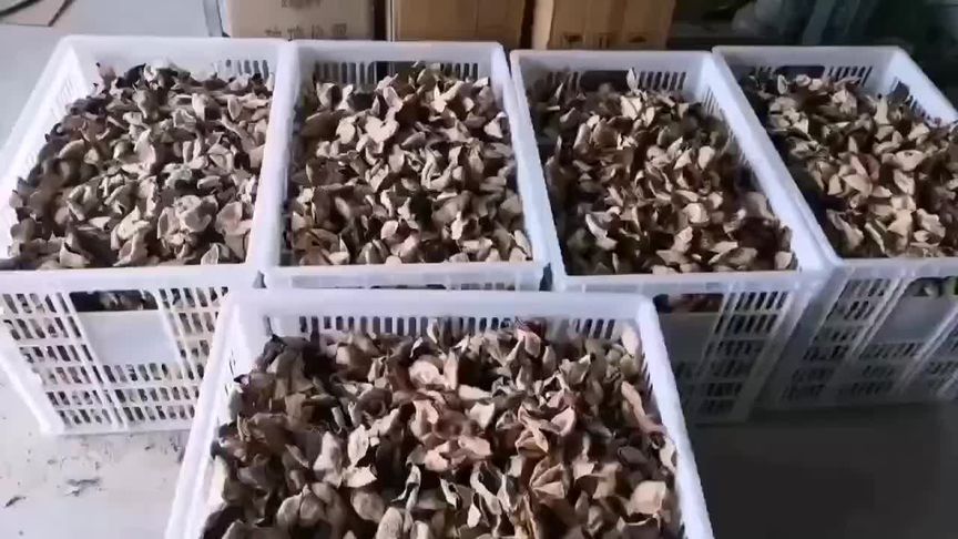 新会陈皮夏天的好伙伴,快来订购吧