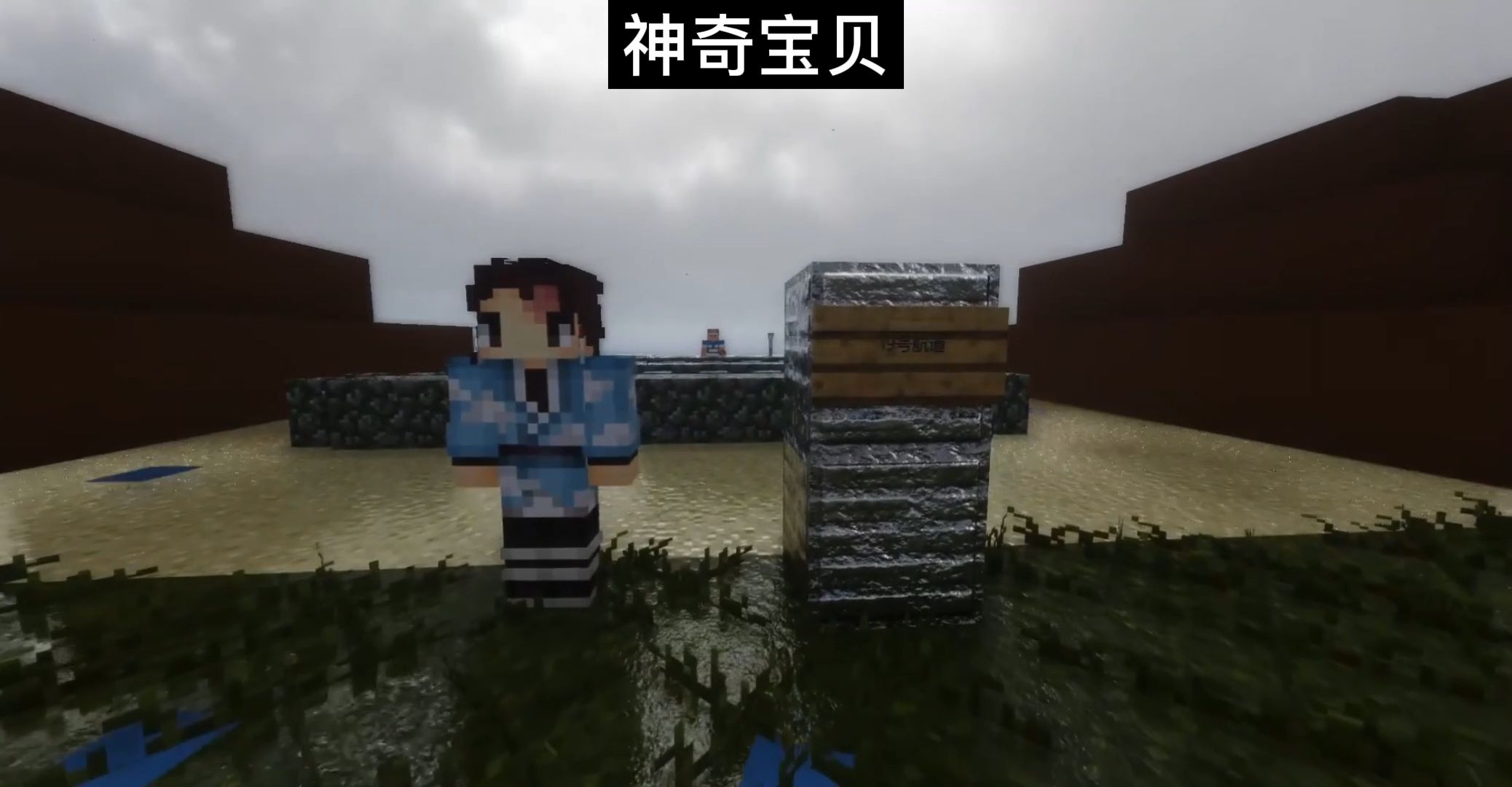 [Minecraft]绝对值得入手的良心宝可梦服务器不吹nb啥都没ban,拒绝...