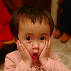 左撇子宗 