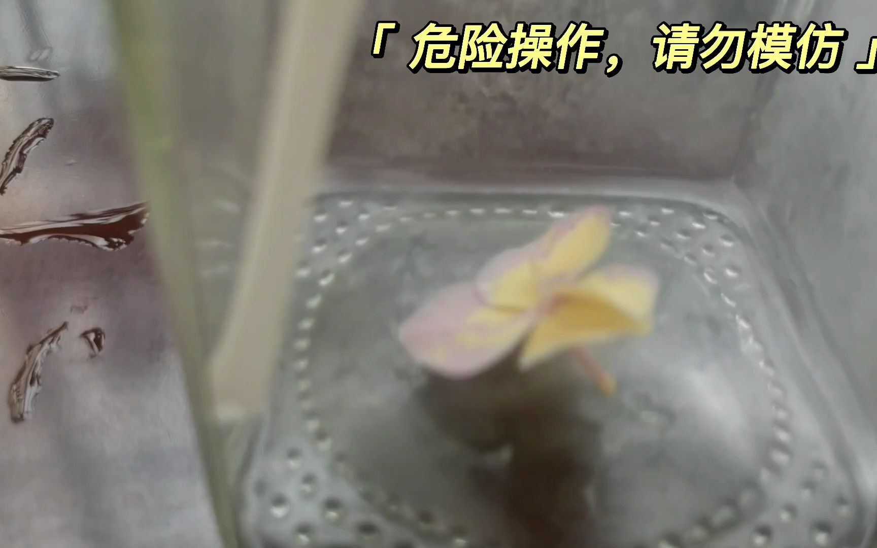 ...亲自实验,为什么生活中这两种东西混合在一起很危险(漂白粉+消毒液)