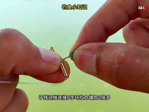 子线上加个弹簧,有什么作用?是拉力倍增的诀窍!