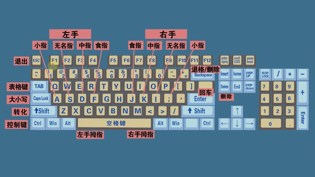电脑初学者认识键盘和键盘正确打字方法